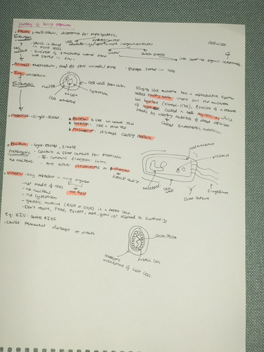 Unit 1 Organisms and Life Processes Biology IGCSE Edexcel | Teaching ...