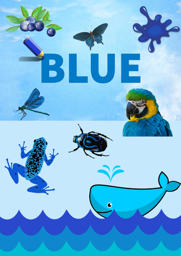 Colour Poster: Blue | Teaching Resources