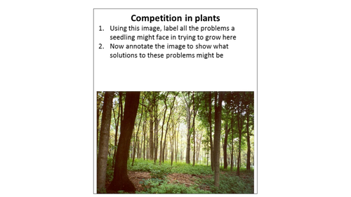 AQA GCSE Adaptations, Interdependence and Competition | Teaching Resources
