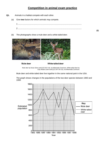 AQA GCSE Adaptations, Interdependence and Competition | Teaching Resources