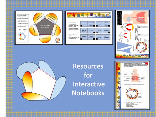Breathing and the Respiratory System Explained - Distance Learning and ...