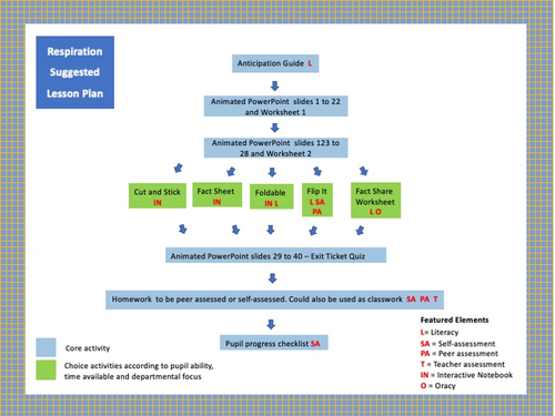 Breathing and the Respiratory System Explained - Distance Learning and ...