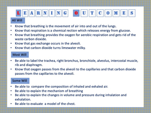 Breathing and the Respiratory System Explained - Distance Learning and ...