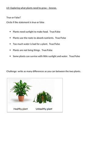 Plants Year 3 National Curriculum bundle | Teaching Resources