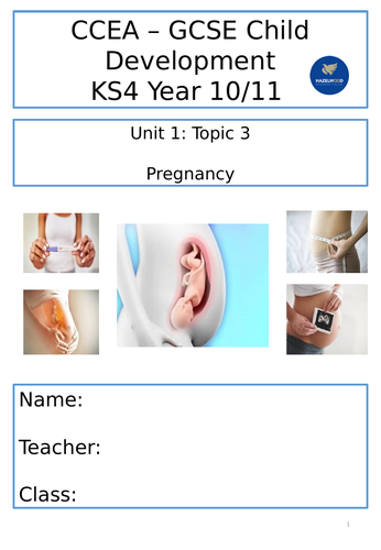 Child Development - Pregnancy Student Booklet | Teaching Resources