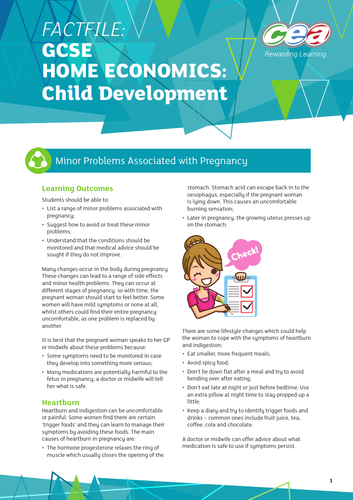 Child Development - Pregnancy Student Booklet | Teaching Resources