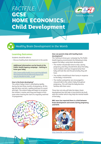 Child Development - Pregnancy Student Booklet | Teaching Resources