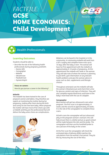 Child Development - Pregnancy Student Booklet | Teaching Resources