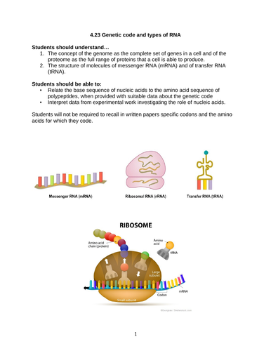 3.4.2 AQA Translation (2 lessons) | Teaching Resources
