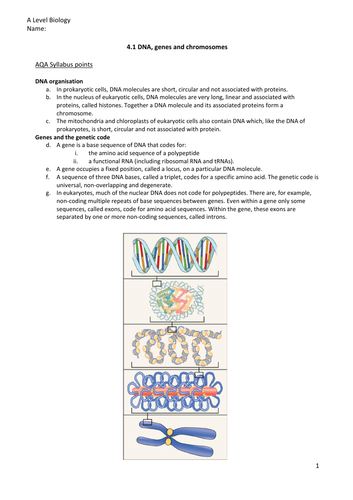 3.4.2 AQA DNA, genes and chromosomes FLIPPED | Teaching Resources