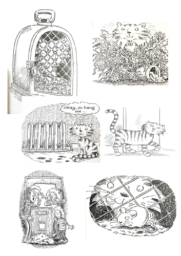 The Diary of a Killer Cat by Anne Fine: Teaching Sequence and Story ...