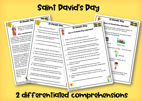 Saint David's Day KS2 | Teaching Resources