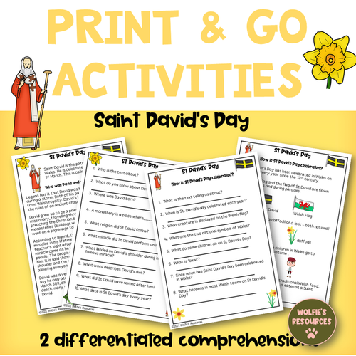 Saint David's Day KS2 | Teaching Resources