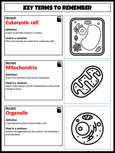 Photosynthesis Key terms Booklet | Teaching Resources