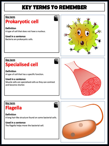 Photosynthesis Key terms Booklet | Teaching Resources