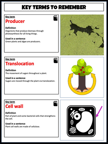 Photosynthesis Key terms Booklet | Teaching Resources