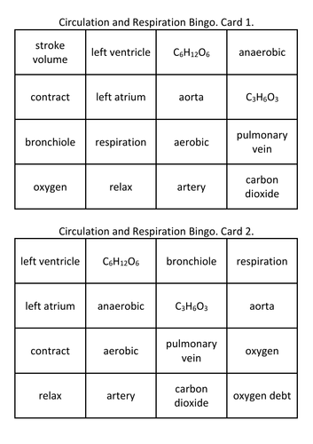 Respiration & Circulation Bingo | Teaching Resources