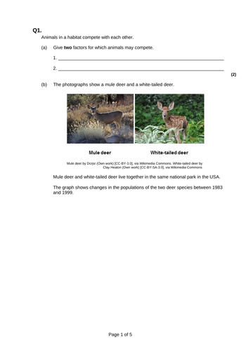 Predator prey relationships | Teaching Resources