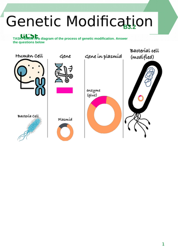 Genetic Modification | Teaching Resources