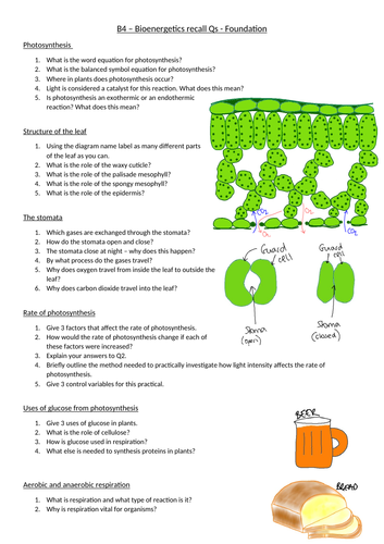 AQA Biology GCSE B4 - bioenergetics recall Qs | Teaching Resources