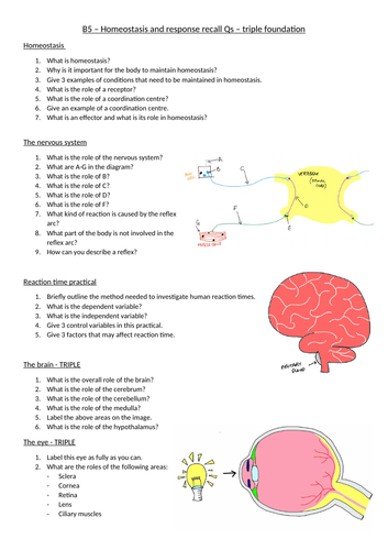 AQA Biology GCSE B5 Triple - homeostasis recall Qs | Teaching Resources