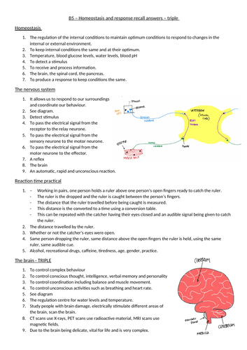 AQA Biology GCSE B5 Triple - homeostasis recall Qs | Teaching Resources