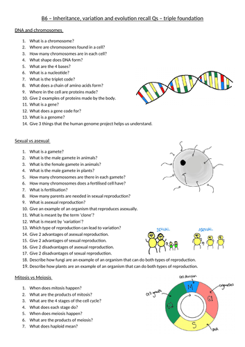 AQA Biology GCSE B6 Triple - Inheritance recall Qs | Teaching Resources