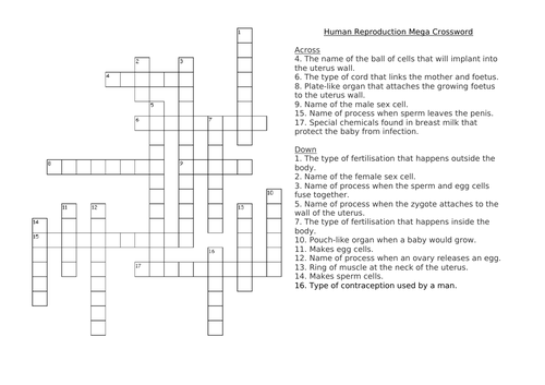 Human Reproduction Mega Crossword | Teaching Resources