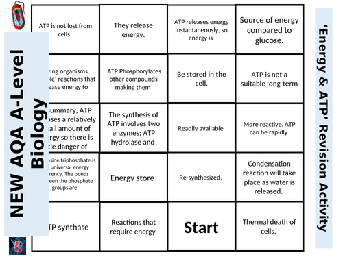 NEW AQA A-Level Biology 'Energy & ATP' - Dominoes Revision Activity ...