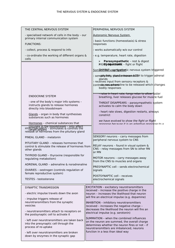 Biopsychology Notes | Teaching Resources