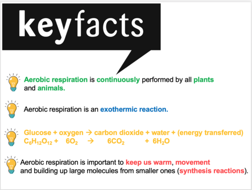Aerobic Respiration (AQA KS3) | Teaching Resources