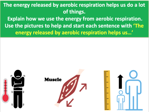 Aerobic Respiration (AQA KS3) | Teaching Resources