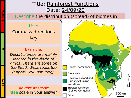 L2- Rainforest functions | Teaching Resources