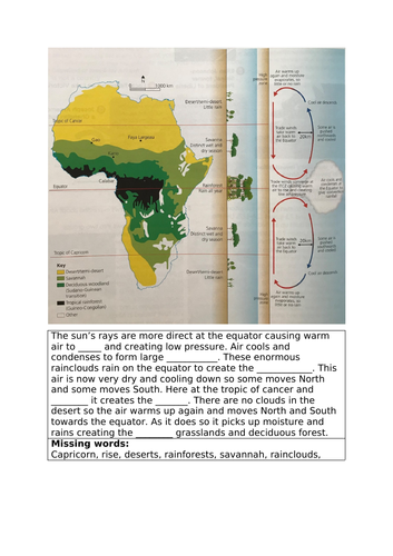 L2- Rainforest functions | Teaching Resources