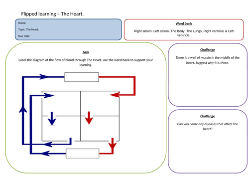 Organ systems | Teaching Resources