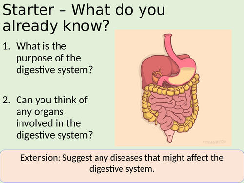 Organ systems | Teaching Resources