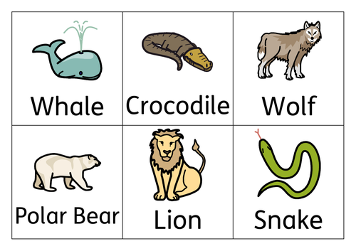 Walking Through the Jungle | Teaching Resources