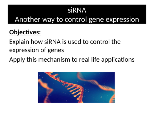 Gene Expression A level Biology AQA bundle of lessons | Teaching Resources