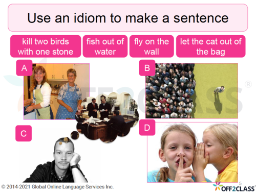 Idioms That Use Animal Vocabulary - ESL/ELL Lesson Plan | Teaching ...