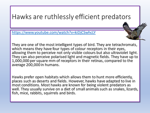 Hawk Roosting by Ted Hughes | Teaching Resources