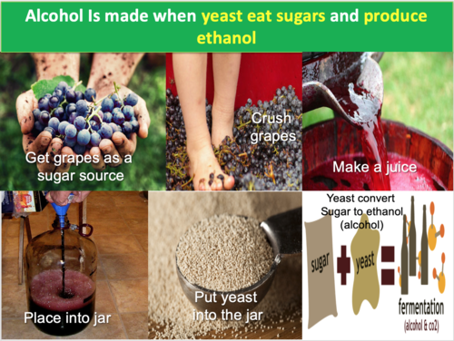 Alcohol | Teaching Resources