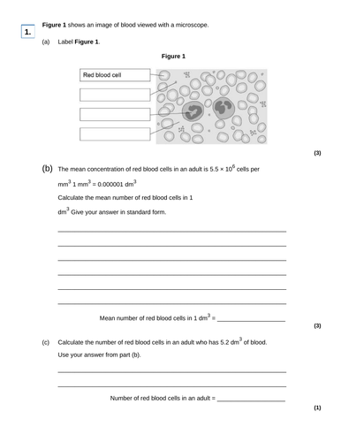 AQA GCSE Biology (9-1) B4.1 The blood - FULL LESSON | Teaching Resources
