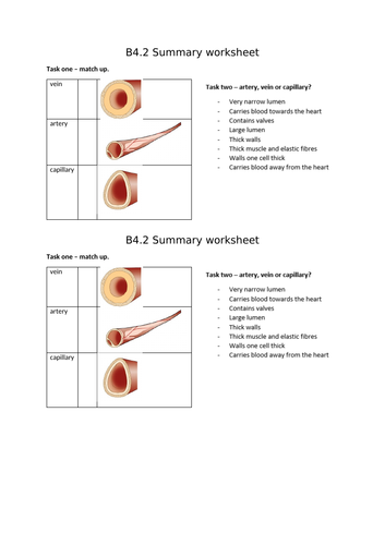 AQA GCSE Biology (9-1) B4.2 The blood vessels - FULL LESSON | Teaching ...