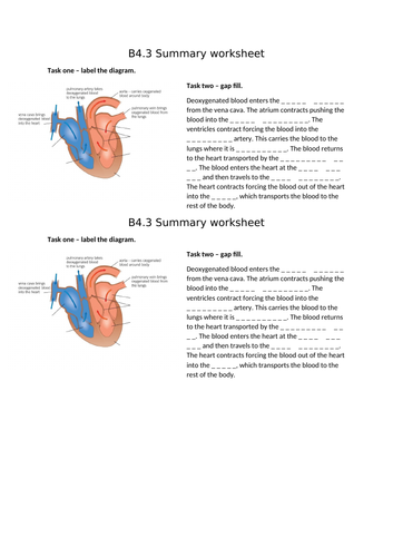 AQA GCSE Biology (9-1) B4.3 The heart - FULL LESSON | Teaching Resources