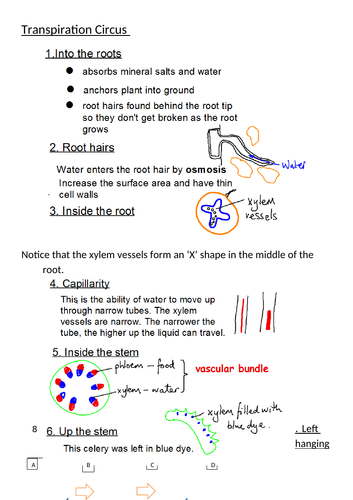 AQA GCSE Biology (9-1) B4.9 Factors affecting transpiration - FULL ...