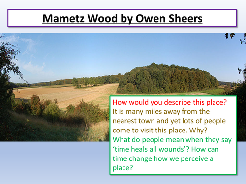 Mametz Wood | Teaching Resources