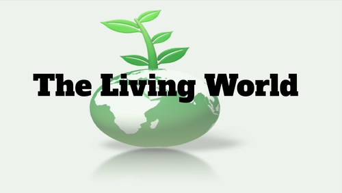 GCSE Evidence: The Living World Workbook AQA Geography | Teaching Resources