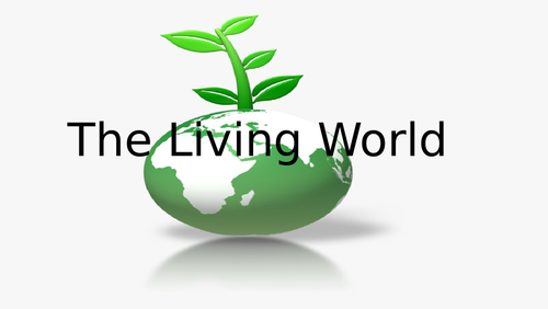 GCSE Evidence: The Living World Workbook AQA Geography | Teaching Resources