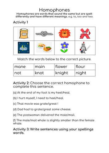 Homophones spelling activity Year 3 | Teaching Resources