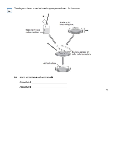 AQA GCSE Biology (9-1) B5.3 Growing bacteria in the lab - FULL LESSON ...